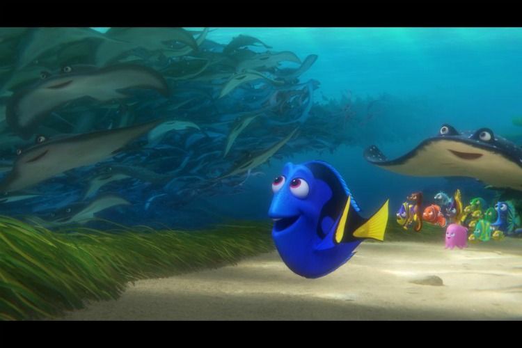 Activities & Educational Materials for Finding Dory
