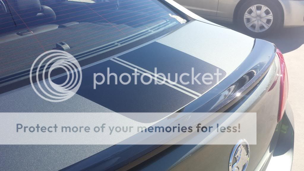 VF Commodore revealed - Official details and pics - Part 4 - Page 13