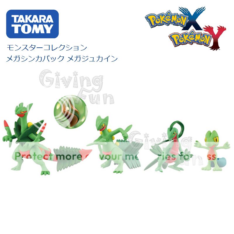 Pokemon Grovyle Evolution